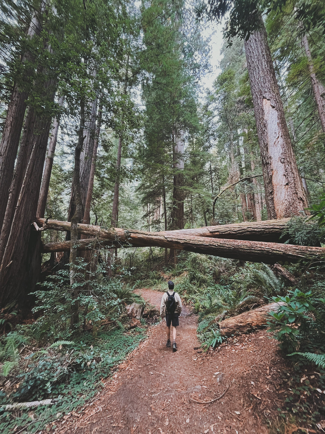 LUCAYA | PREMIUM EDC GEAR AND ACCESSORIES – Lucaya